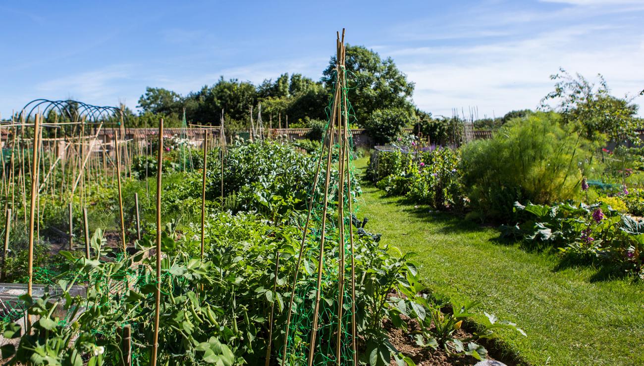 Poundbury Community Orchard
