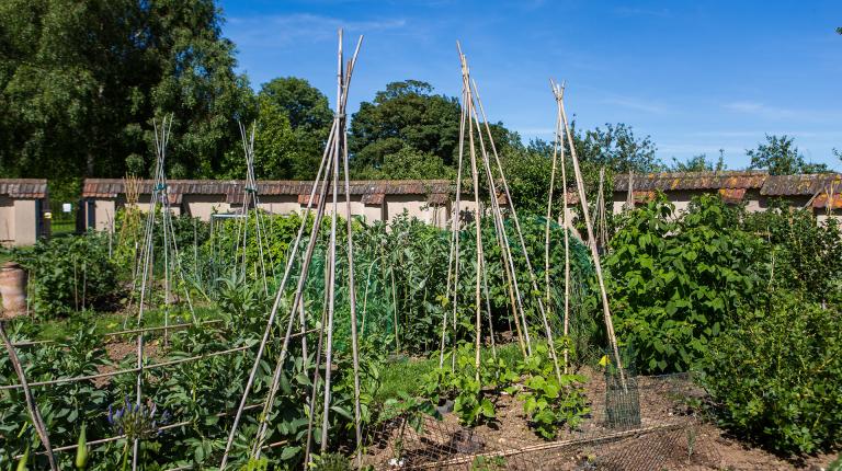 Poundbury Community Orchard