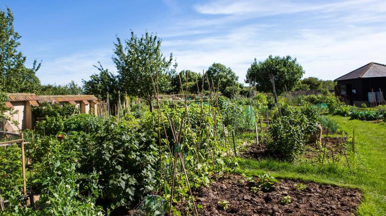 Poundbury Community Orchard