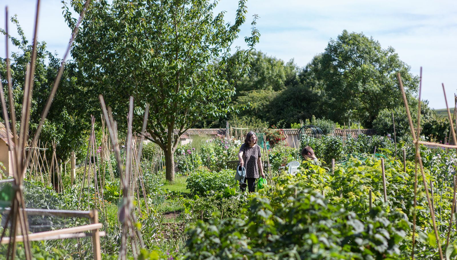Poundbury Community Orchard