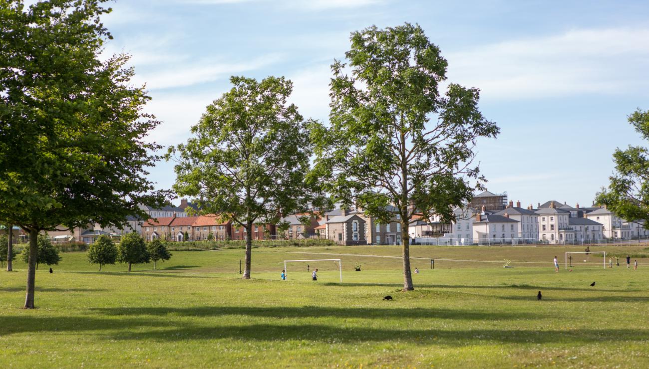 The Great Field, Poundbury